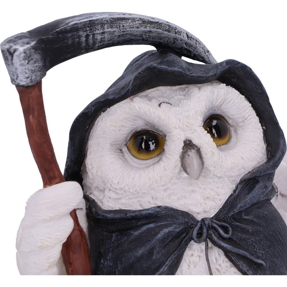 Reapers Flight Grim Reaper Owl Familiar Figurine – Realm of the Witch